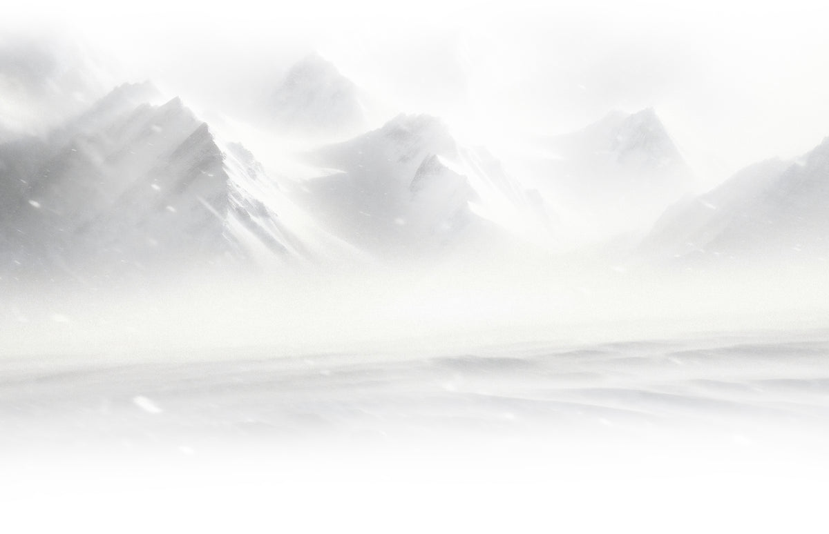 Nimsdai Trekking Condor Pole – Nimsdai Store